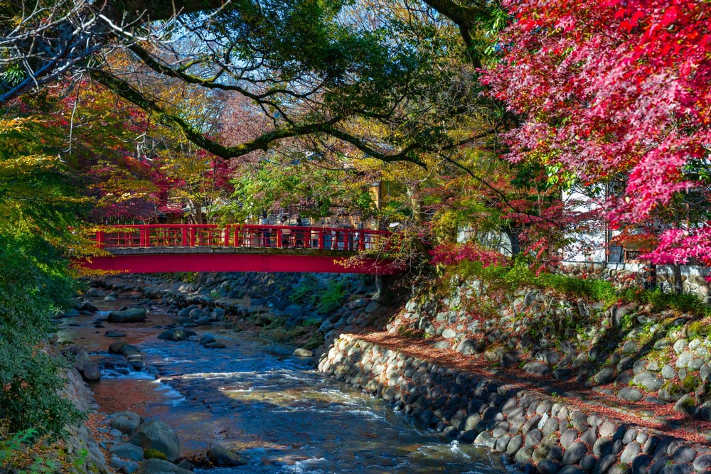Escape the City: The Best Day Trips from Tokyo